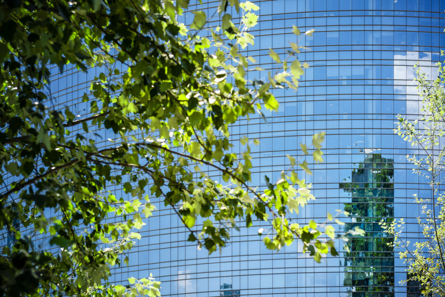 Business and Commercial Banking | NBH Bank