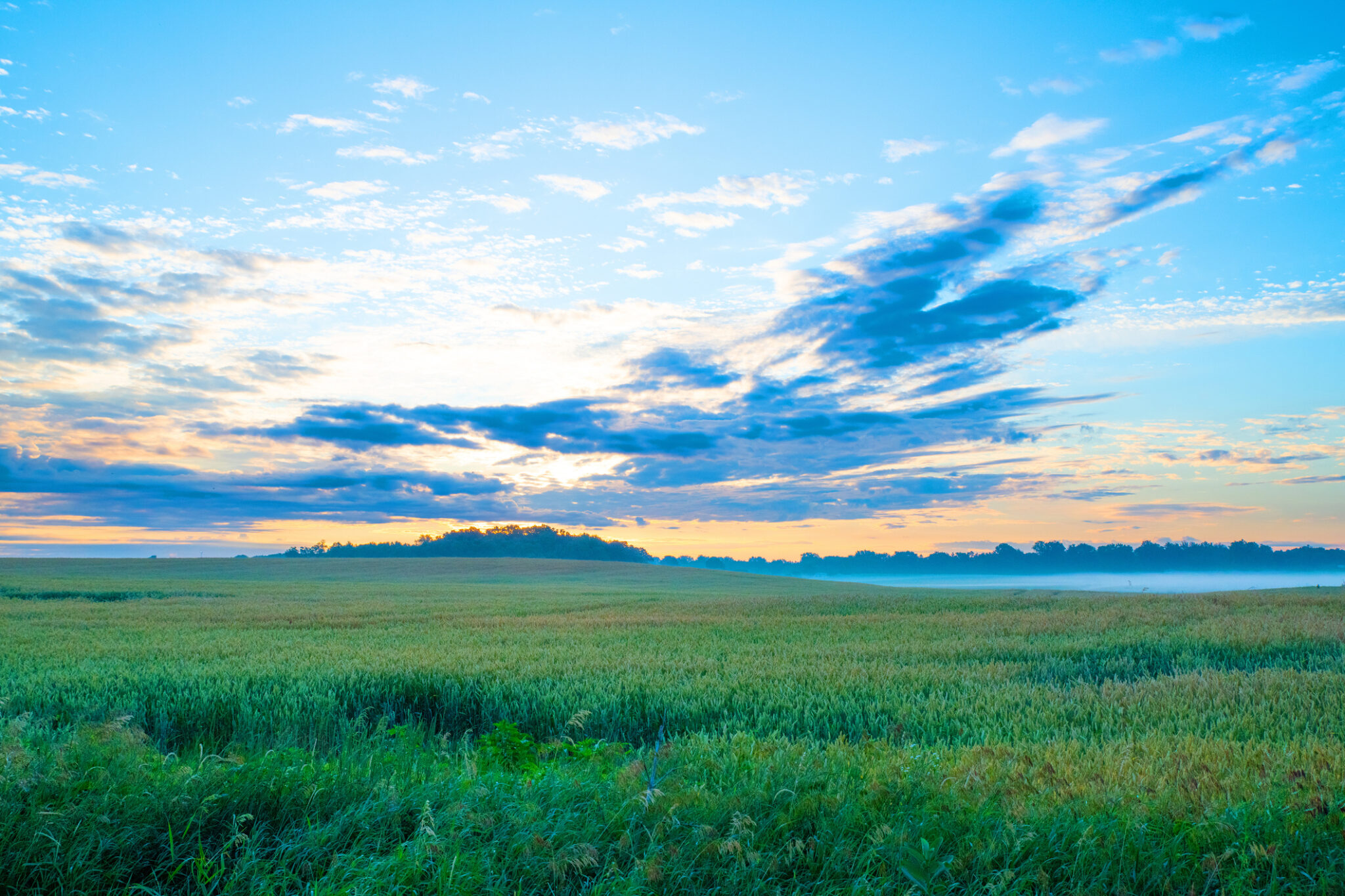 NBH Bank | Specialty, Private, Business & Commercial Banking