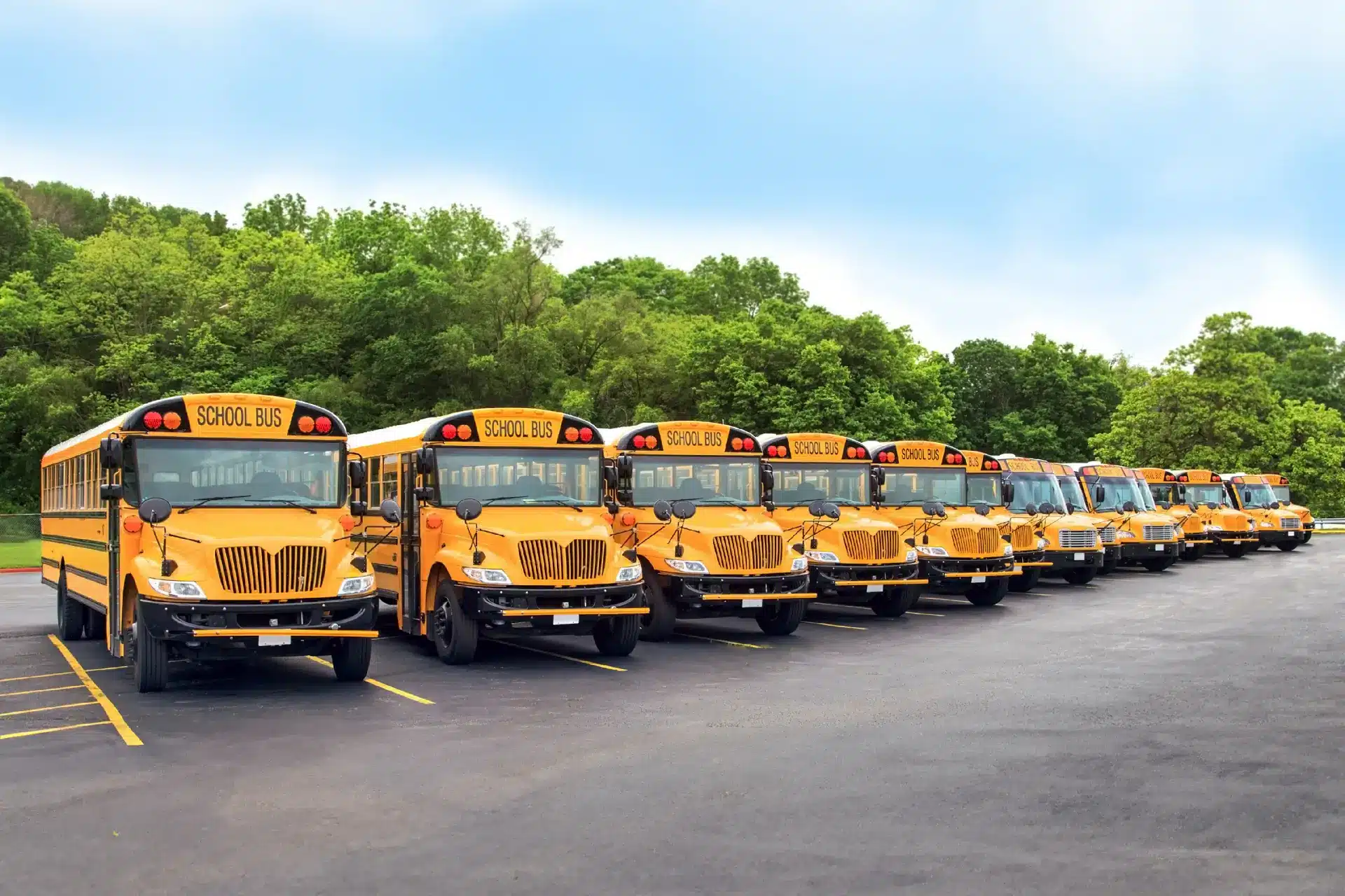 Government and Non-Profit Financing | NBH Bank